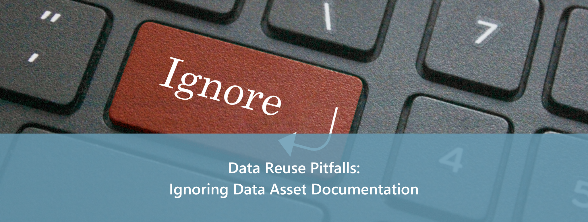 Data Reusability Pitfall: Ignoring Data Asset Documentation